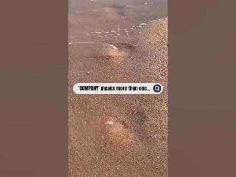 'COMPANY' means more than one... - YouTube