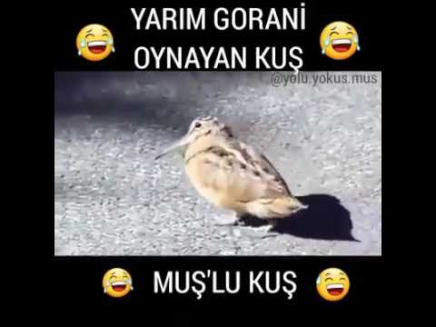 9 Şubat 2017