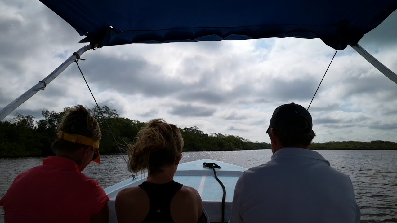 Belize River boat ride Jan 2019 - YouTube