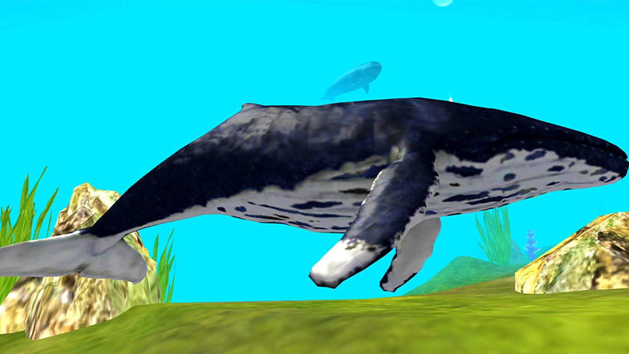 Blue Whale Survival Challenger - YouTube