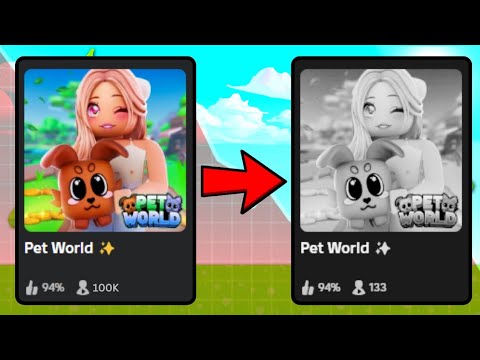 What REALLY Happend to Pet World | Roblox - YouTube