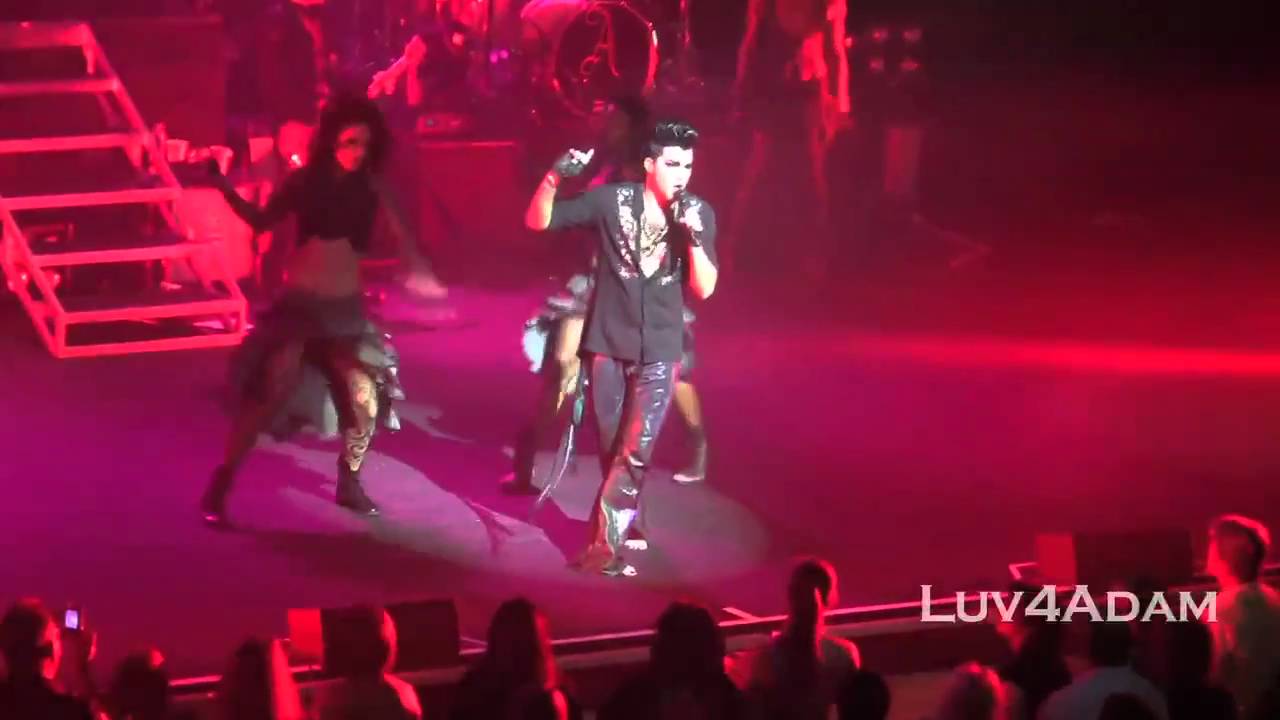 Adam Lambert "Fever" (Live) From Melbourne, FL Glam Nation Tour - YouTube