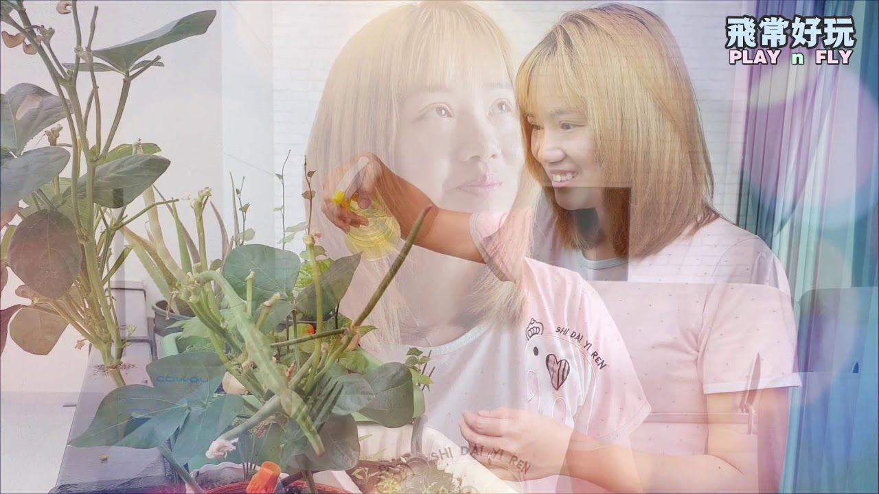 Imagine VS Reality 想象与现实 - YouTube