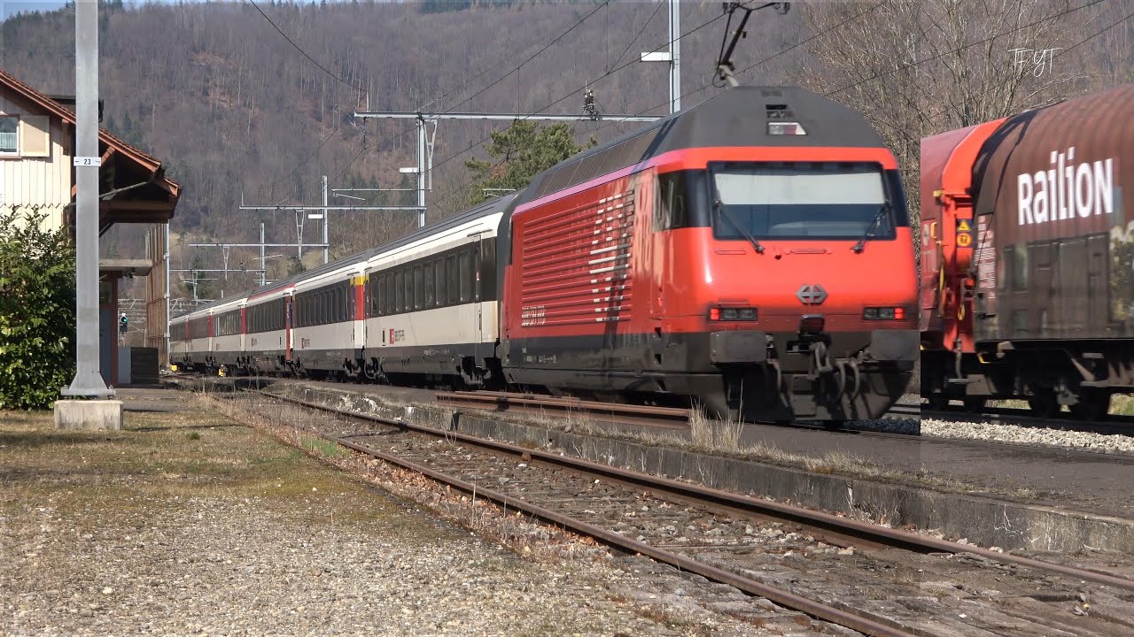 Daily Swiss Train - IR 36 mit Re 460 und DB Cargo Doppeltraktion #train ...