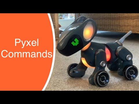 Pyxel a Coder's Best Friend Robotic Dog: How to Use: Commands Part 1 ...