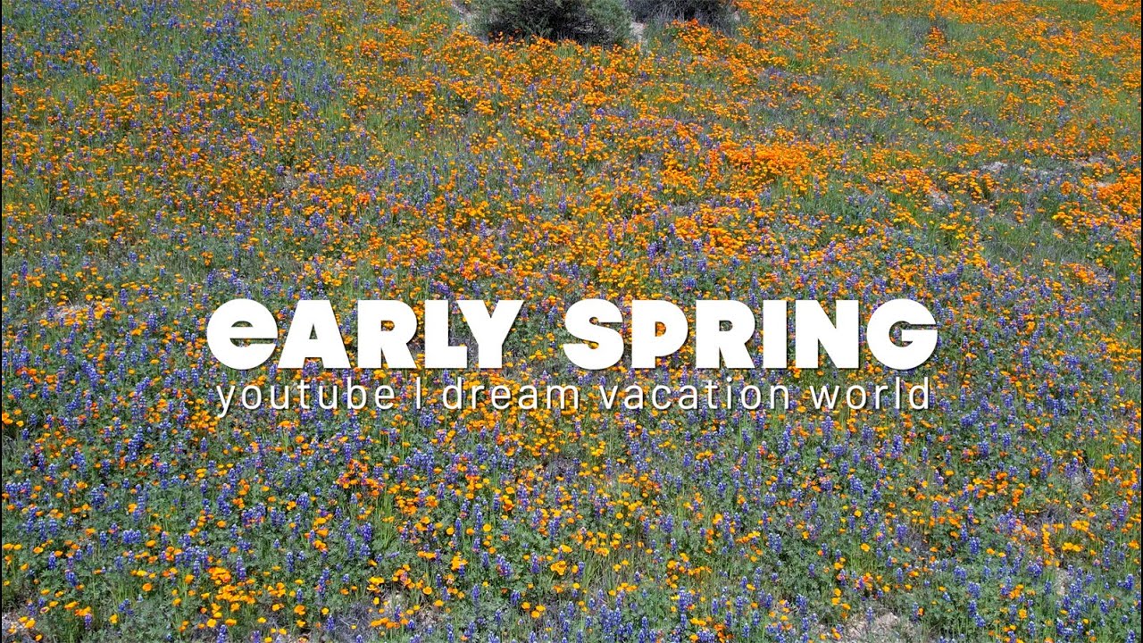 Early Spring 2023 - YouTube
