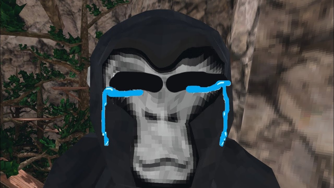 This Kid Was Crying in Gorrila Tag (sad) - YouTube