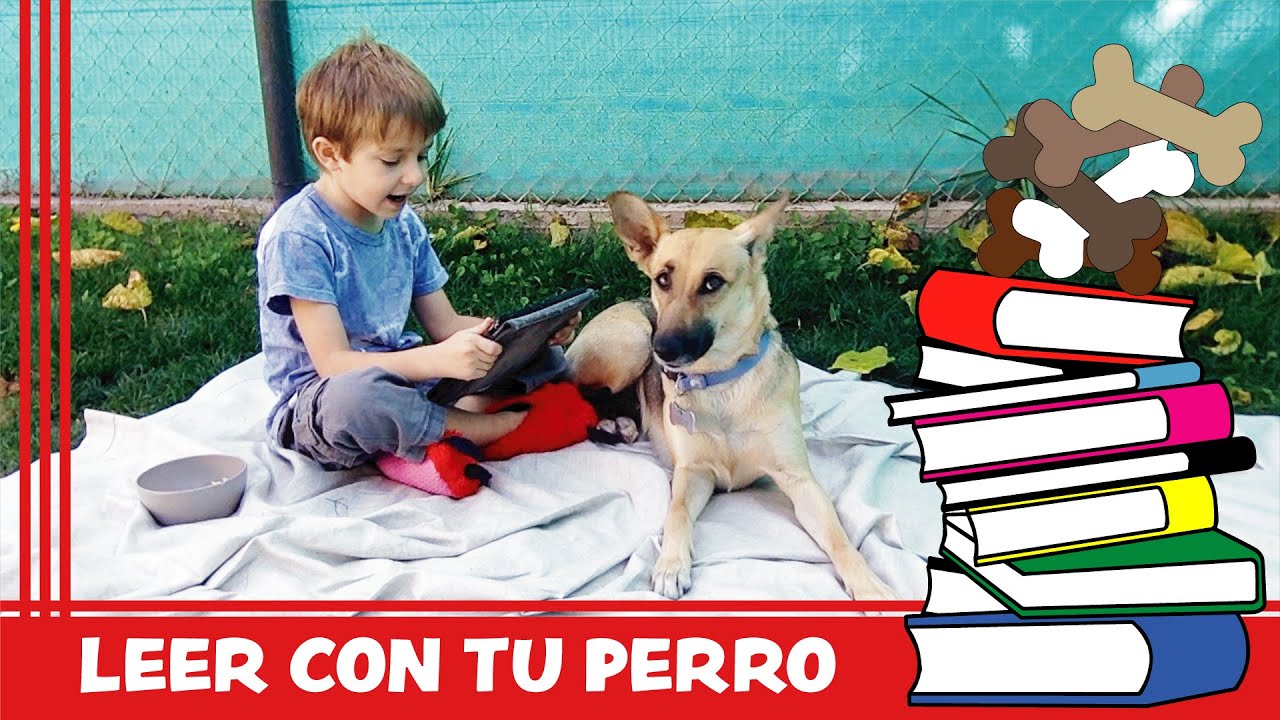 Lectura de niños a sus perros - Leer con tu perro - Juguemos a leer ...
