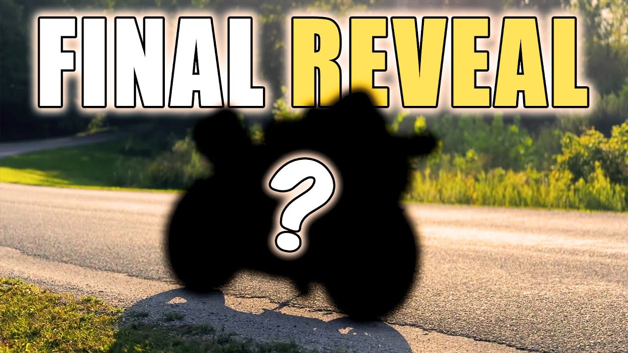 The Final Reveal is Here! - YouTube