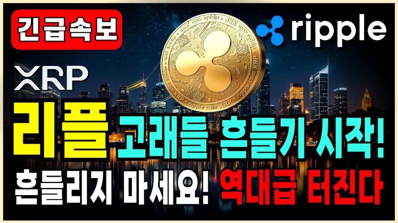 리플 코인 전망⭐고래들 흔들기 시작 기회가 온다 하락은 여기까지 역대급 폭발 임박 절대 털리지 마세요 리플 리플전망