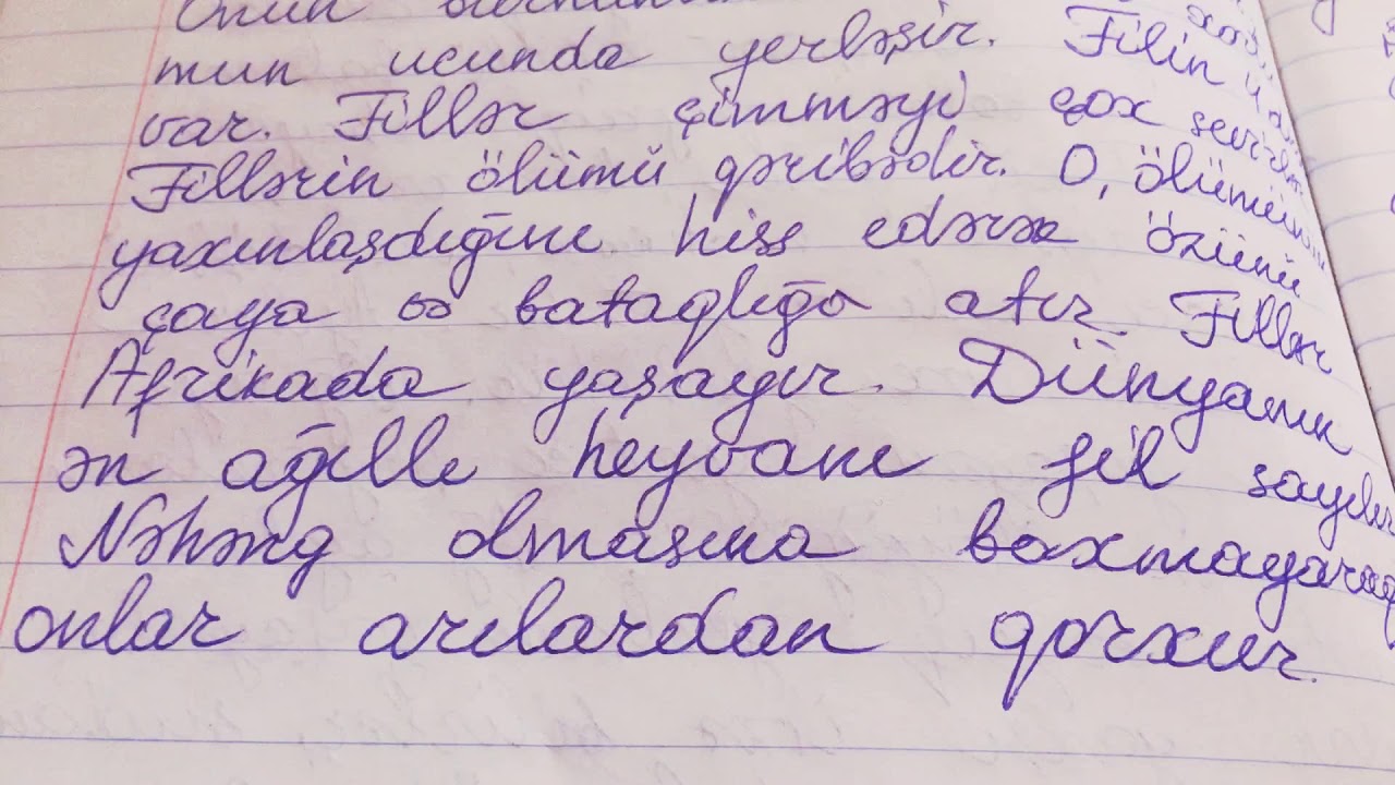 Fil haqqinda melumat - YouTube