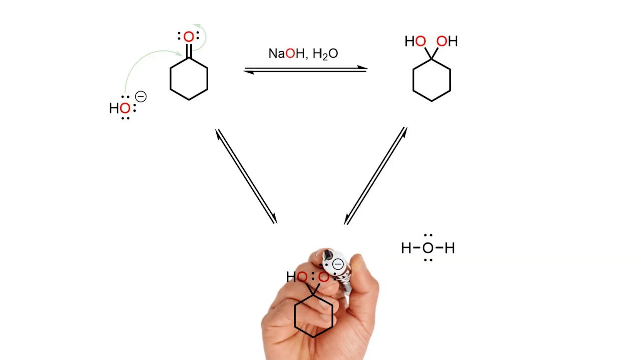 Carbonyl Hydration Reactions - YouTube