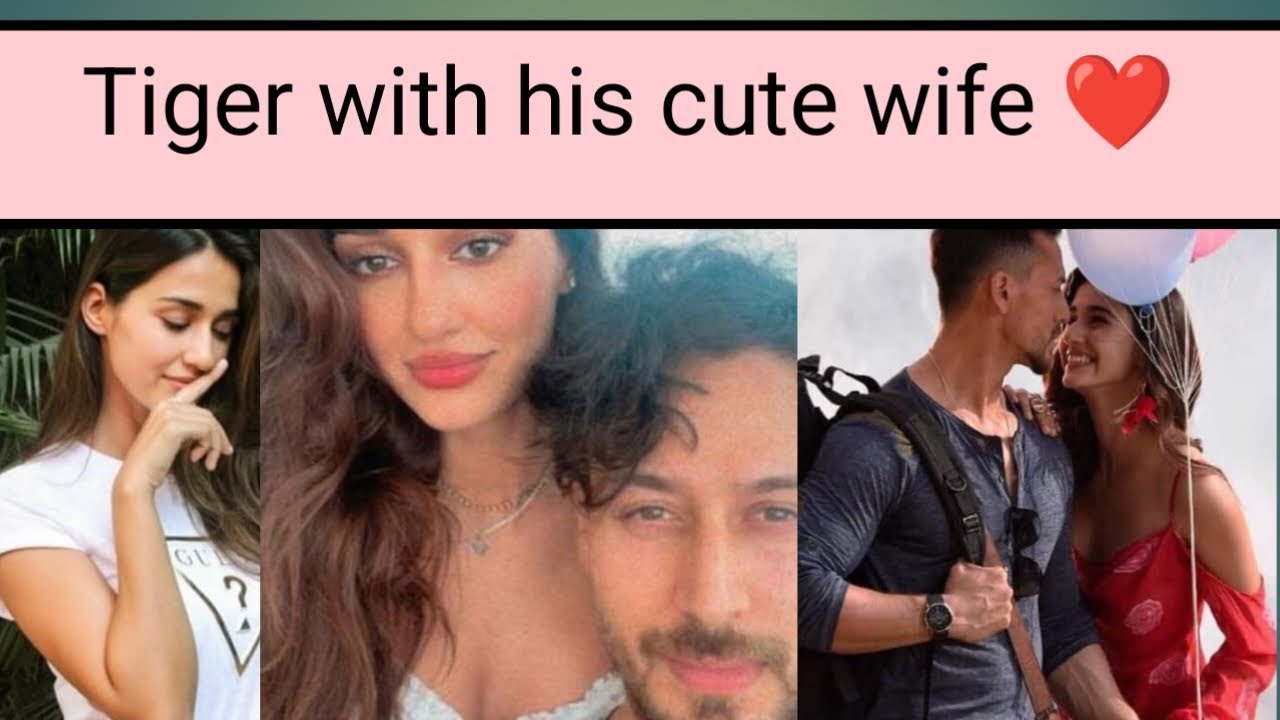 Tiger with his cute wife #youtubefeeds#Love birds ️ - YouTube