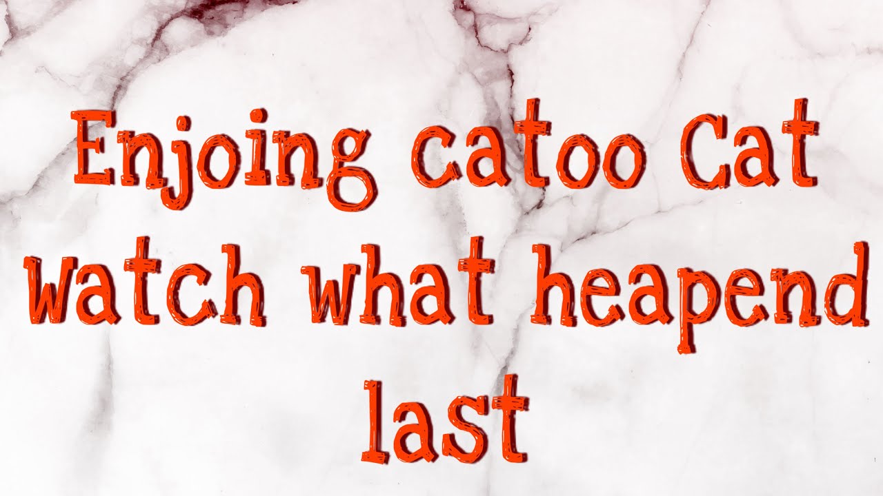 Enjoying katoo cat #foryou #funnycat #usacats #youtube - YouTube
