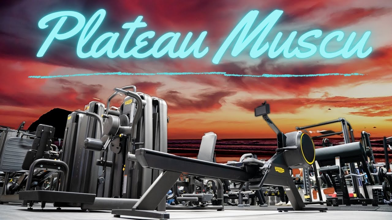 Plateau muscu Benyfitness #musculation #technogym #matrix #laroq - YouTube