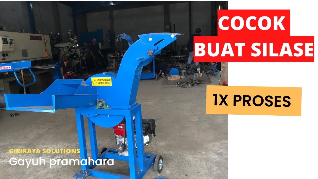 Proses silase langsung masuk tong || mesin chopper leher angsa # ...