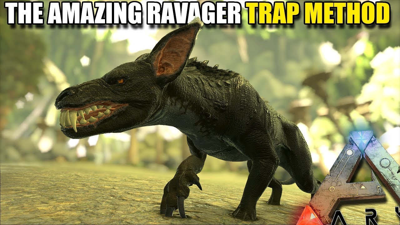 THE AMAZING RAVAGER TRAP METHOD | ARK SURVIVAL EVOLVED EP8 - YouTube