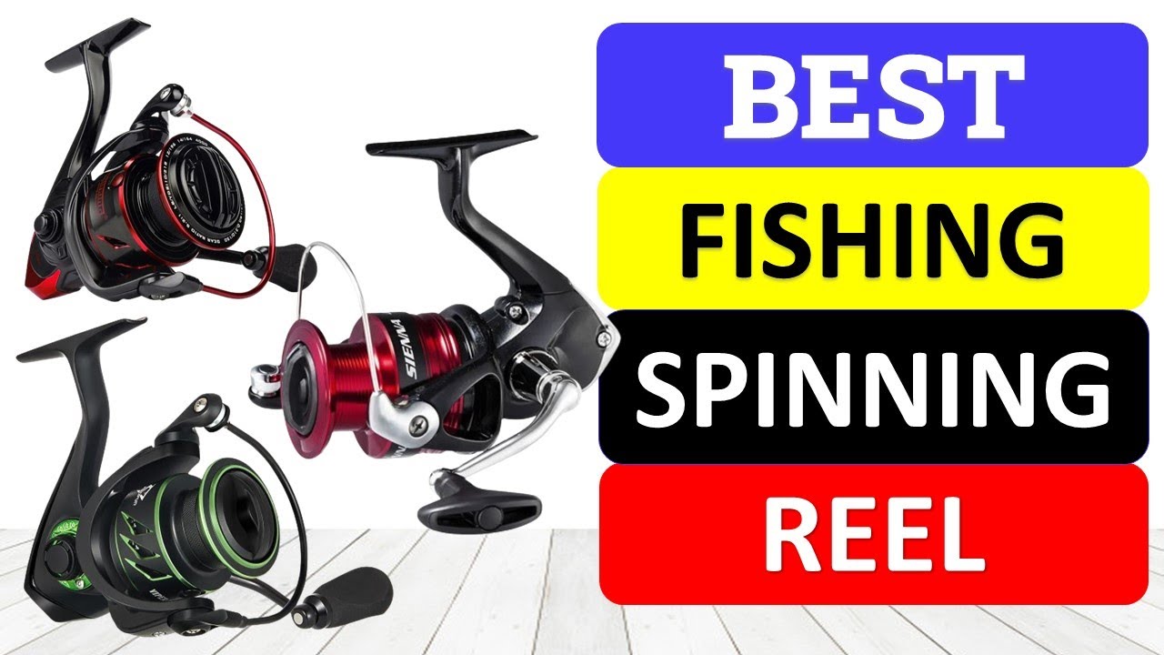Top 10 Best Fishing Spinning Reel in 2024 | Best Fishing Reel - YouTube