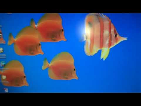 First start up on my dell XPS GEN 4 - YouTube