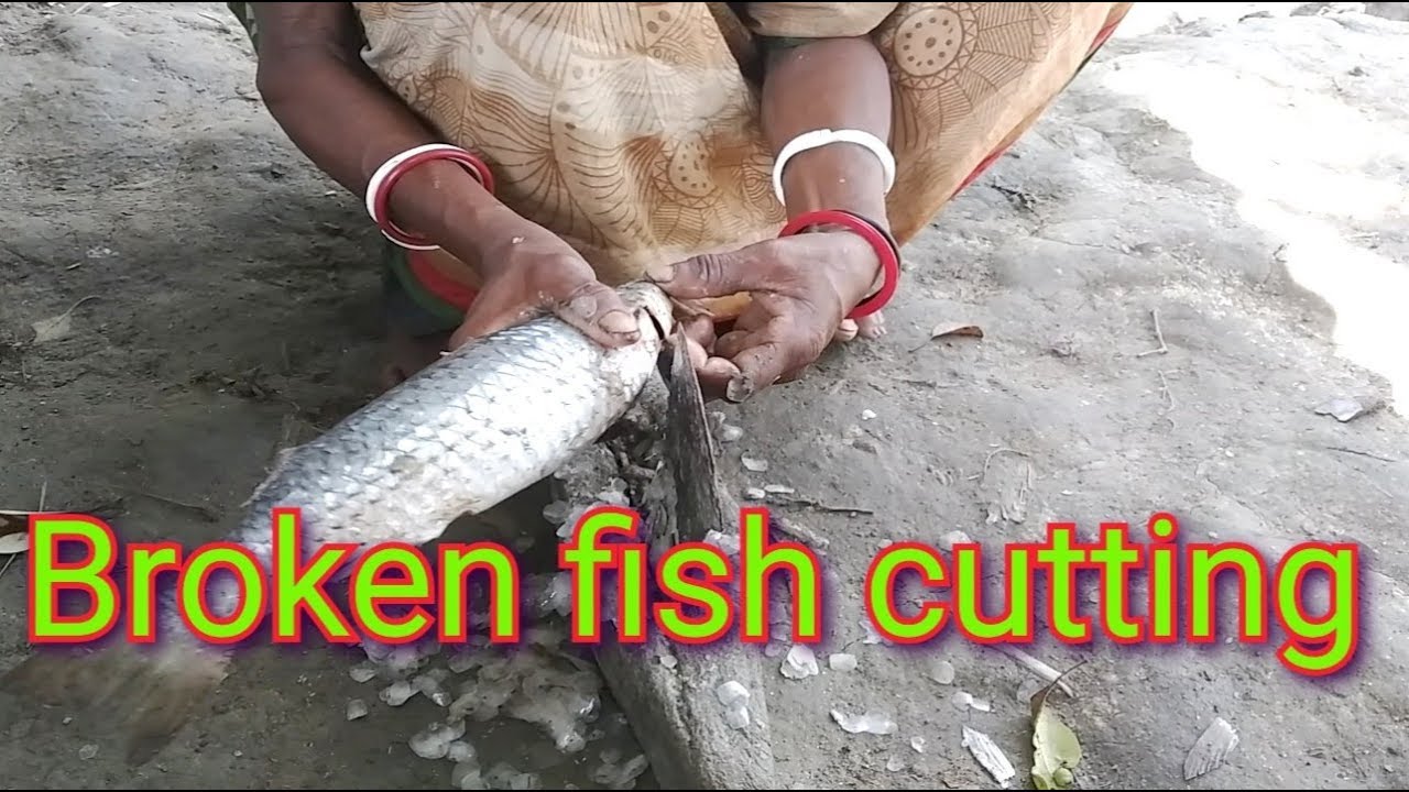 Broken fish cutting || A woman from a village is cutting a broken fish ...