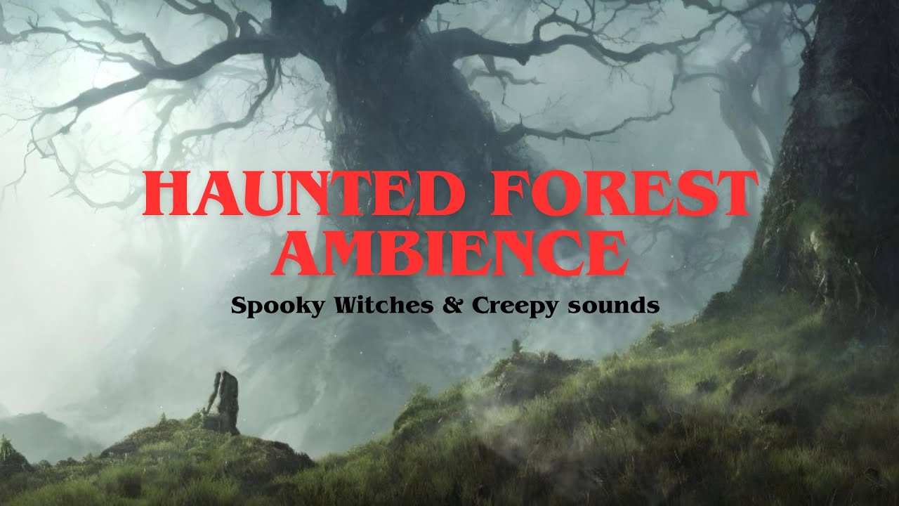 3 Hours of Haunted Forest Ambience | Spooky Witches, Creepy Noises ...