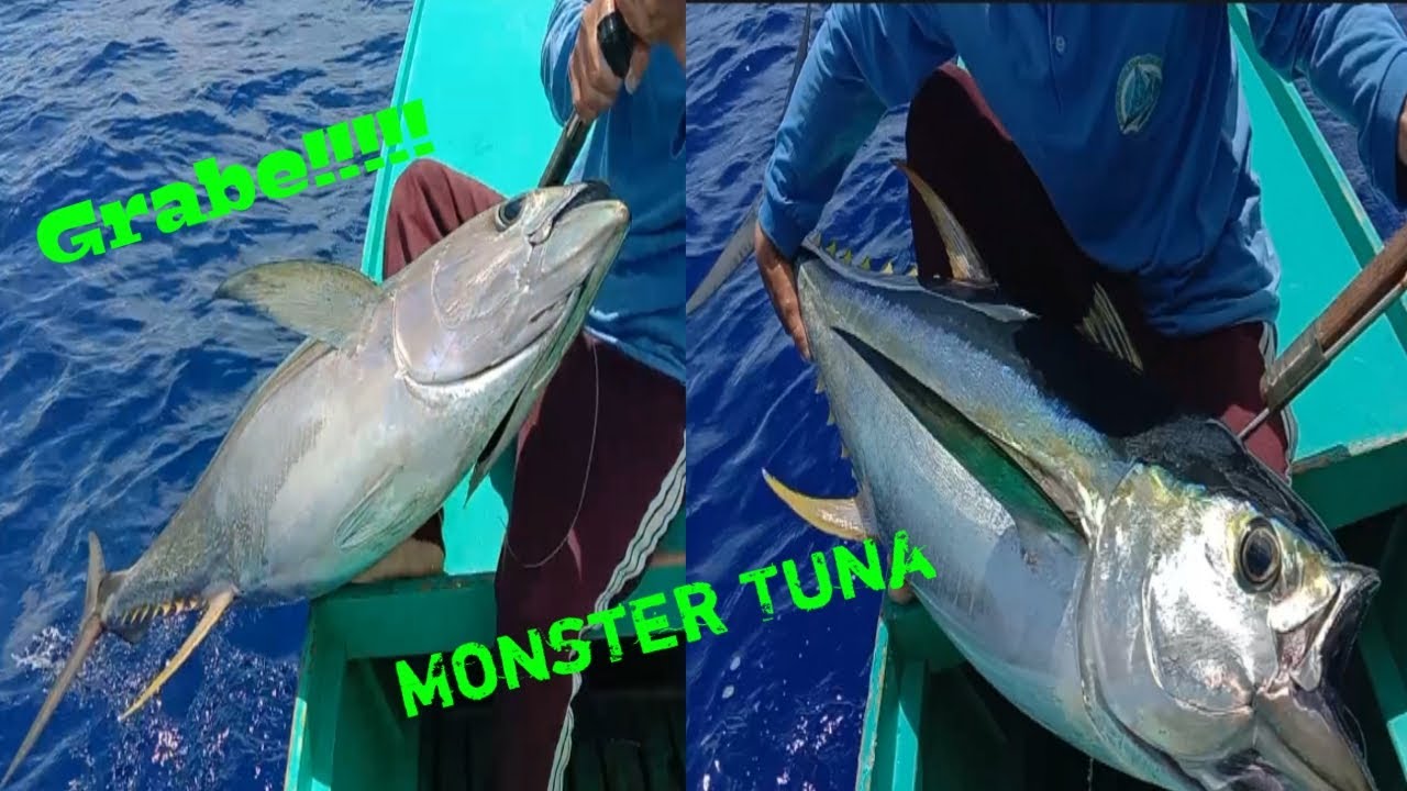 Tuna nahuli namin sa payaw.....grabeh mamaw ang laki......🎣🎣 - YouTube