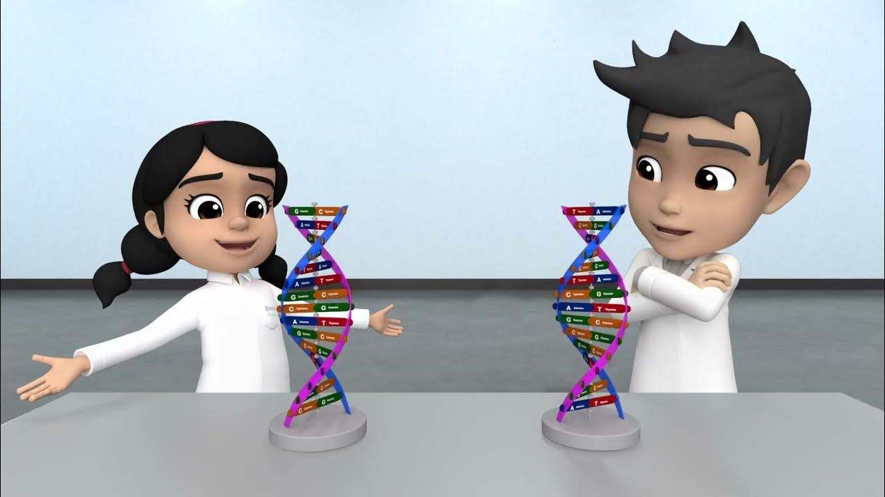 Genome Heroes - DNA - YouTube