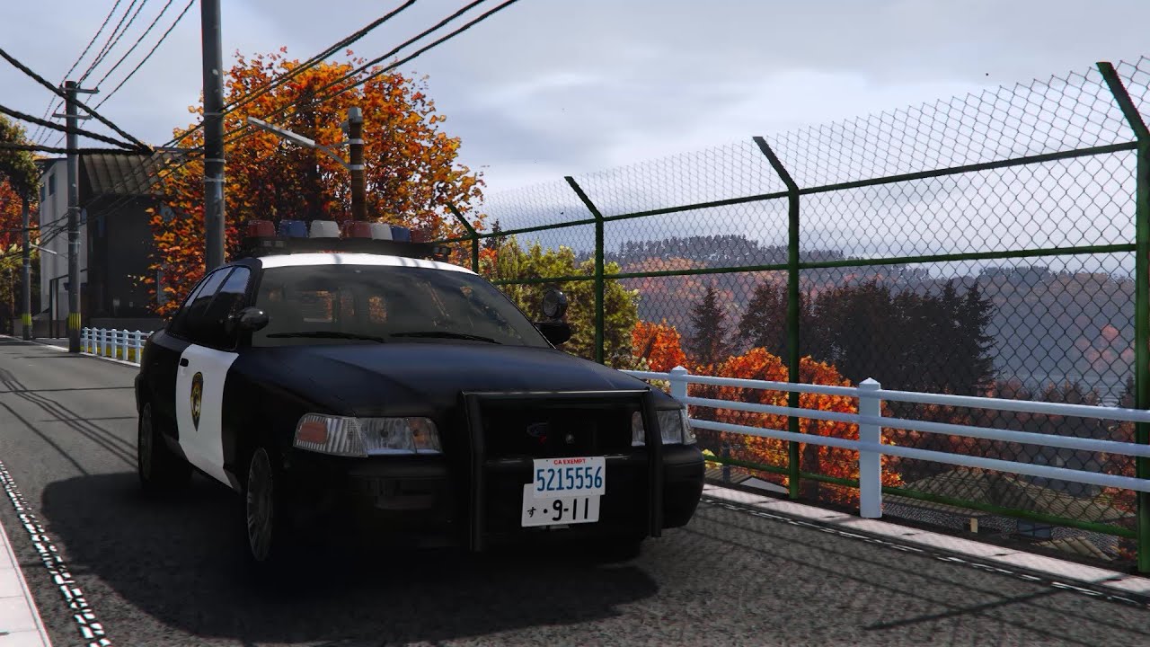 '03 River City Police Crown Victoria / '03リバーシティ警察クラウンビクトリア - YouTube