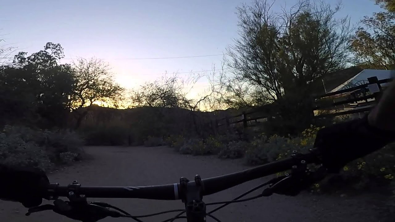Mountain Biking - Snake on Trail 100 - YouTube