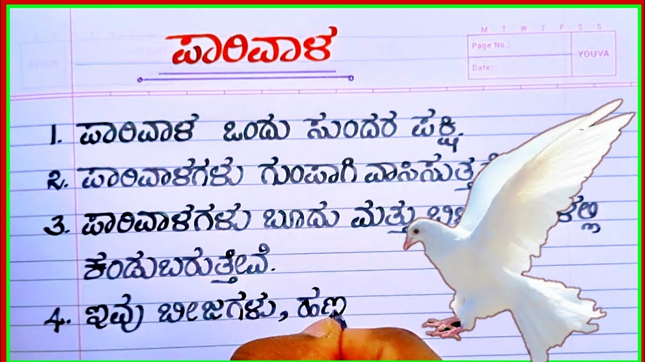Dove 10 Lines On Dove Kannada Few Lines On Dove Bird dove-10-lines-on-dove-kannada-few-lines-on-dove-bird