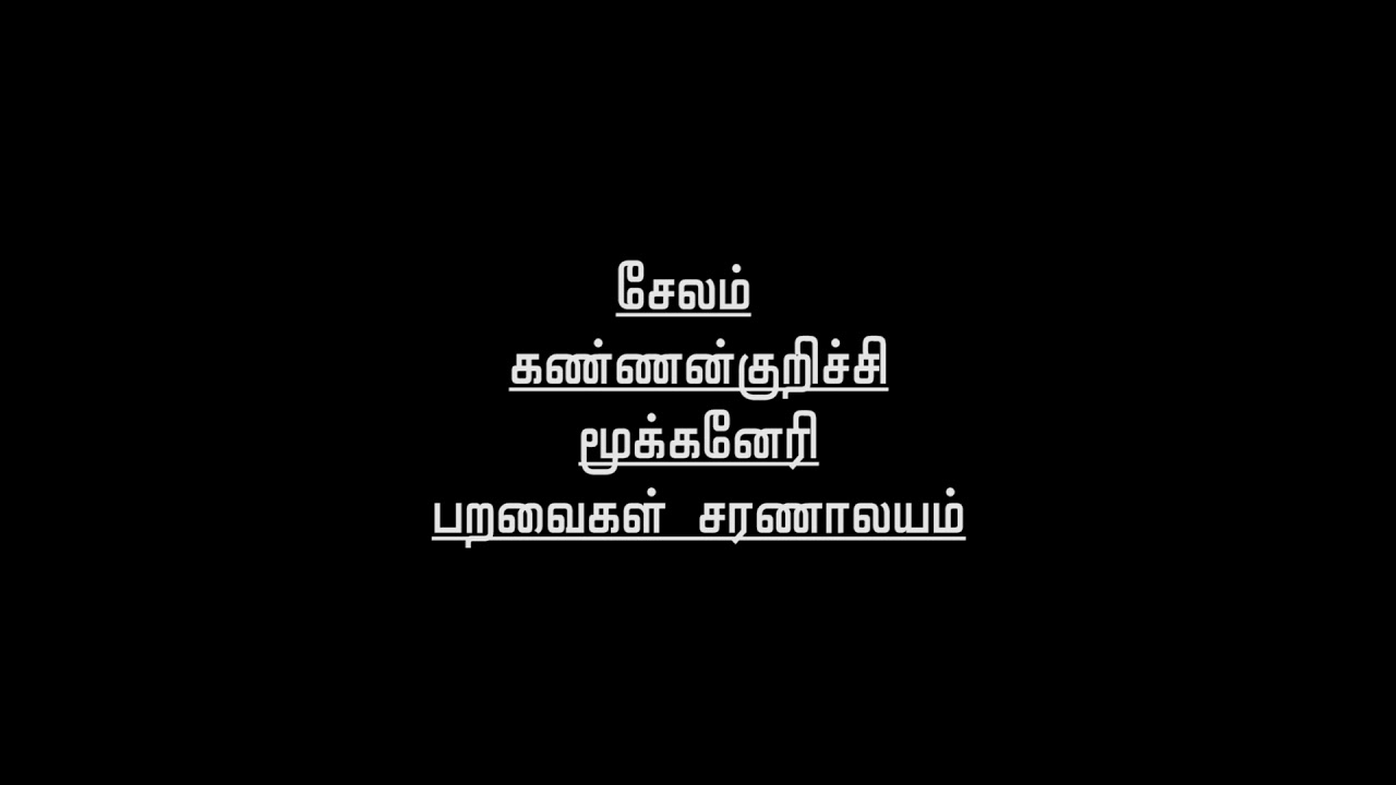 Salem | mookaneri lake | bird sanctuary - YouTube