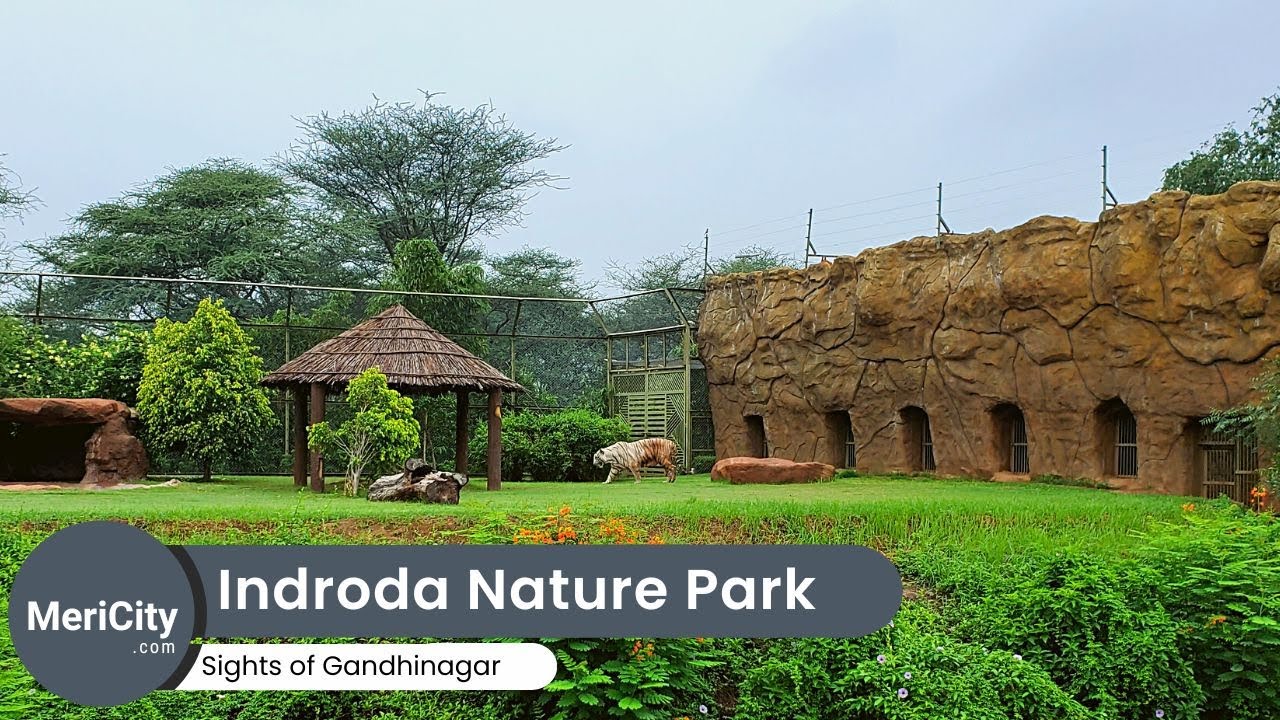 Indroda Nature Park Gandhinagar | Zoo | Dinosaur & Fossil Park ...