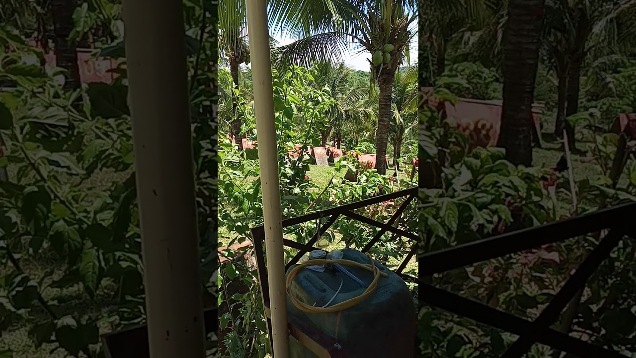 Farm Norzagaray Bulacan - YouTube