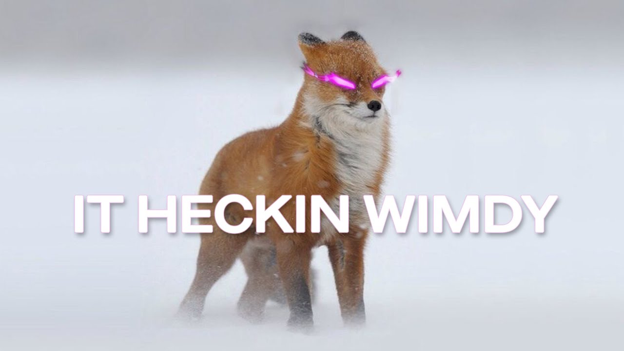 It's Heckin' WIMDY - YouTube