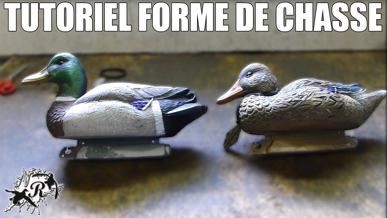 Préparer ses Blettes de Chasse Rapidement et Facilement ! - Marius ...