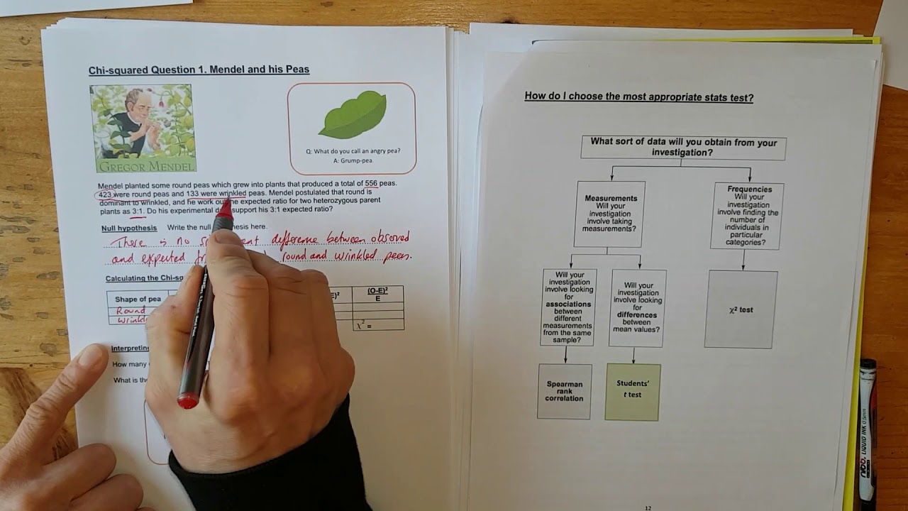 Stats workbook p21 Peas Chi squared - YouTube