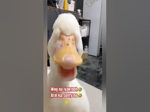 Wag na iyak beh🤣aral ka?Sorry nah🤣🤘 - YouTube