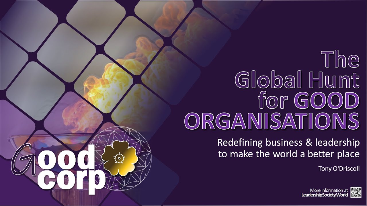 The Global Hunt for Good Organisations: Nuturing the Leaders a Brighter ...