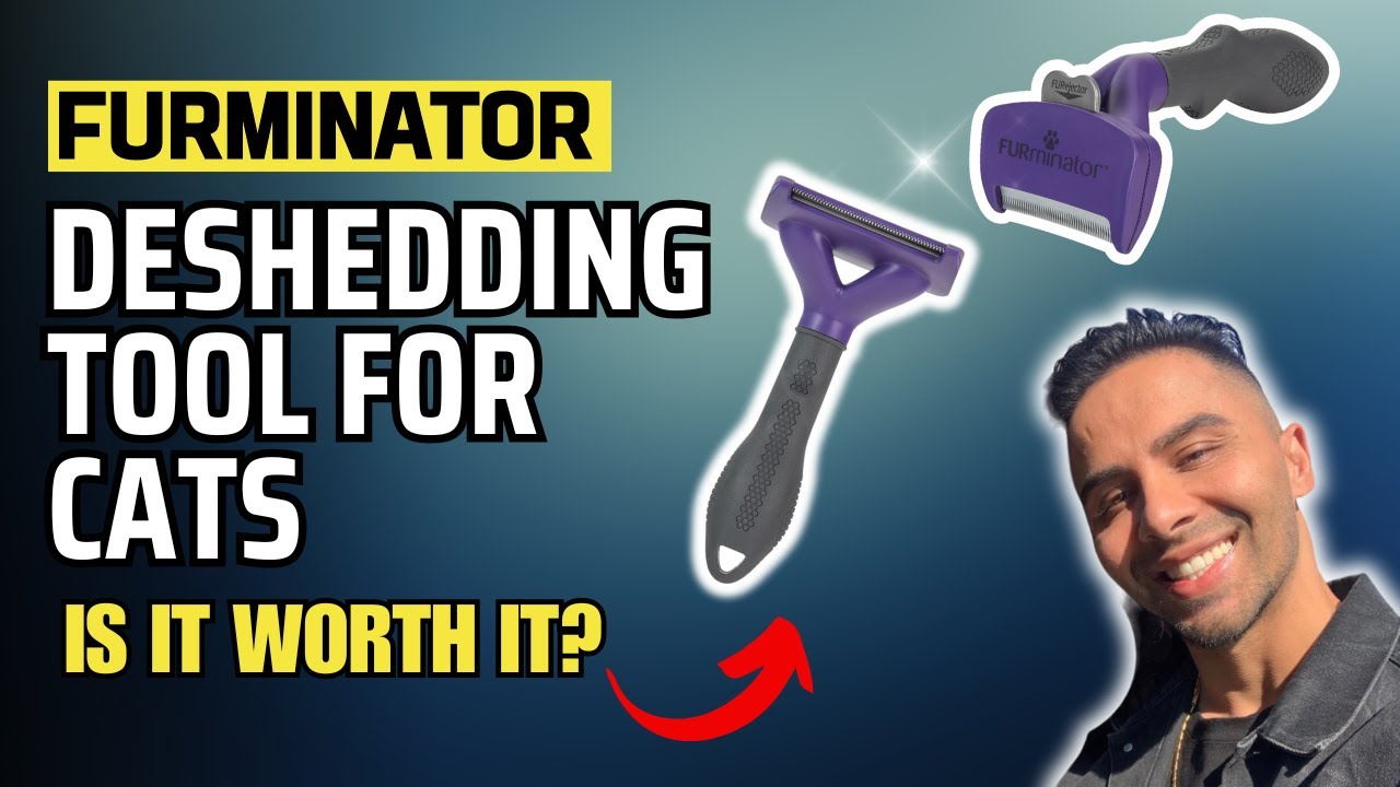 FURminator deShedding Tool Review: Best for Medium/Large Long-Haired ...