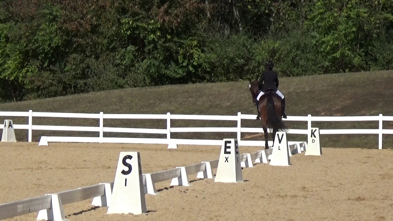 Anita Brassart BLM First Level Test 2 October 11th 2019 - YouTube
