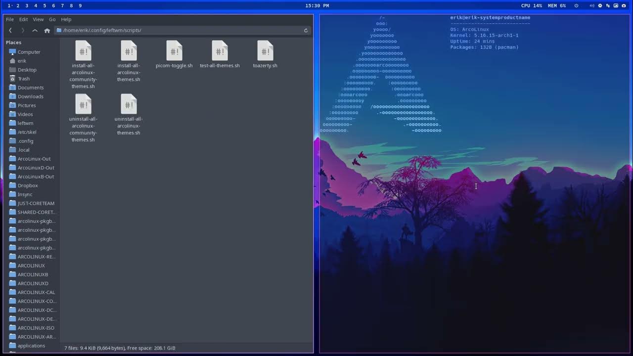 ArcoLinux : 2775 Overview of all 28 Leftwm themes - YouTube