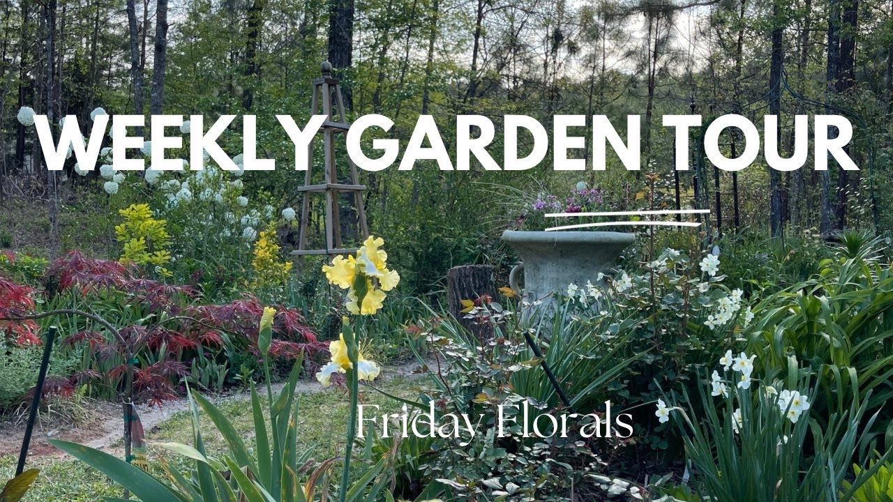 Friday Florals,Weekly Garden Walk Through - YouTube