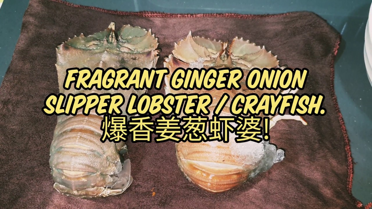 Ginger onion crayfish/slipper lobster simple yet amazingly delicious! 吃 ...