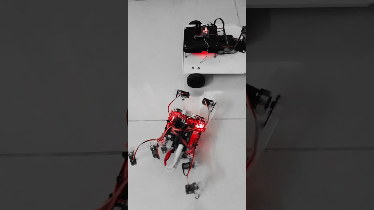 Quadruped & car Robot - YouTube