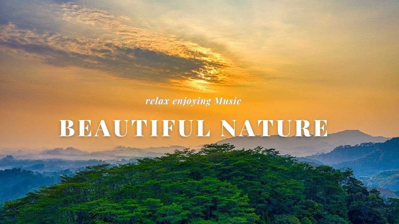 10 Minutes for You to Relax and Enjoy Music | Music for Sleep, Work and ...