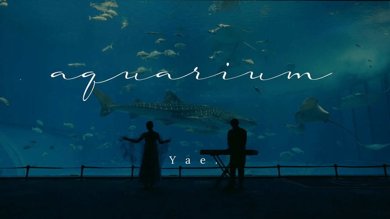 Y a e. - aquarium 【MUSIC VIDEO】 - YouTube