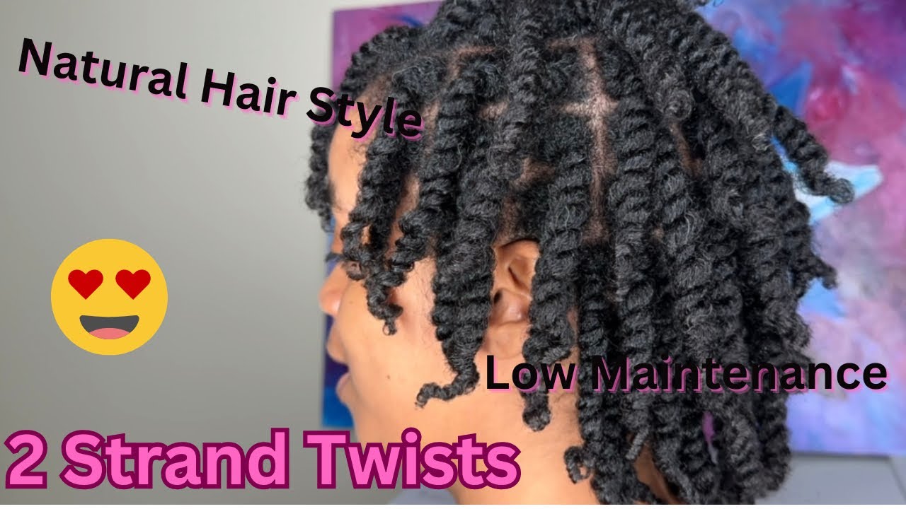 Juicy 2 Strand Twists | Easy Natural Hair Style - YouTube