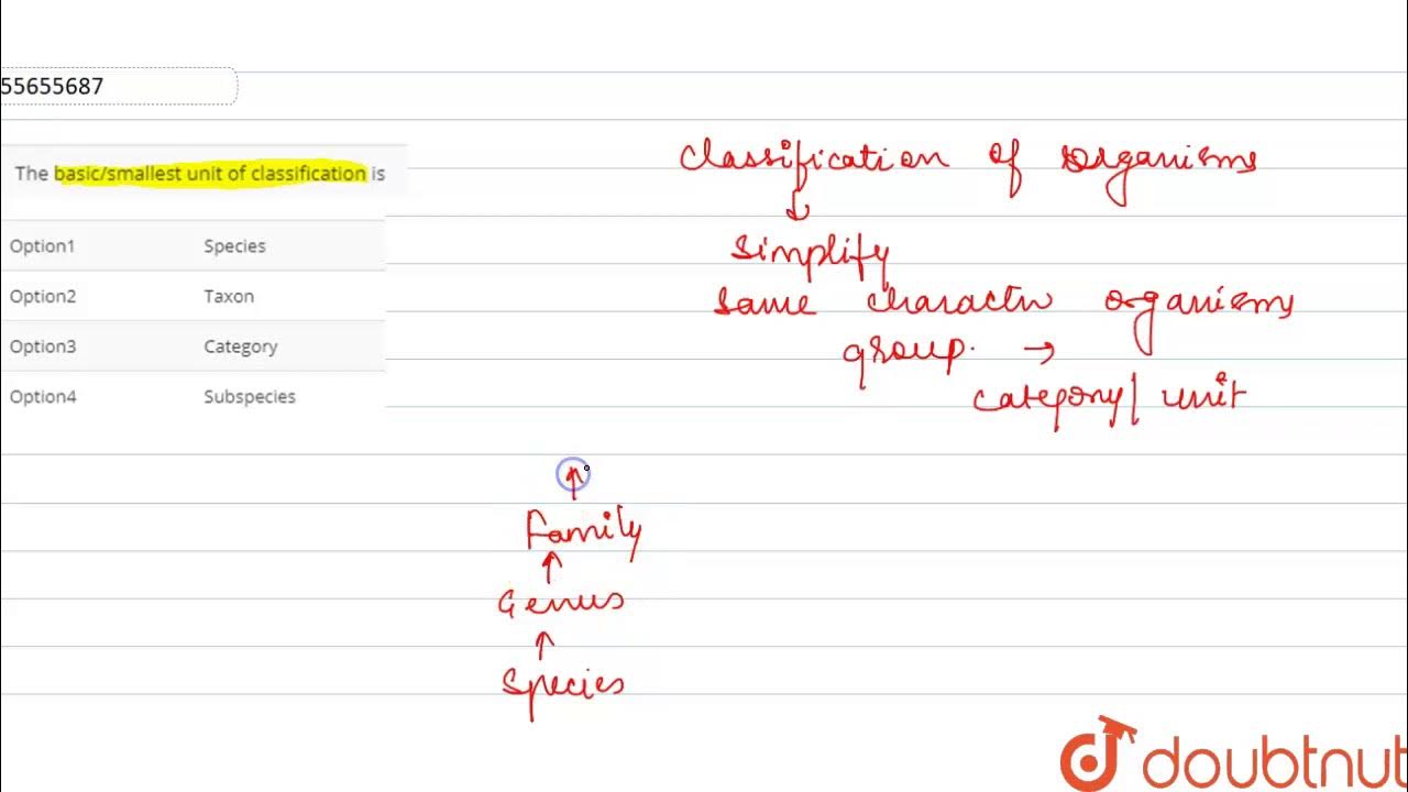 The basic/smallest unit of classification is - YouTube