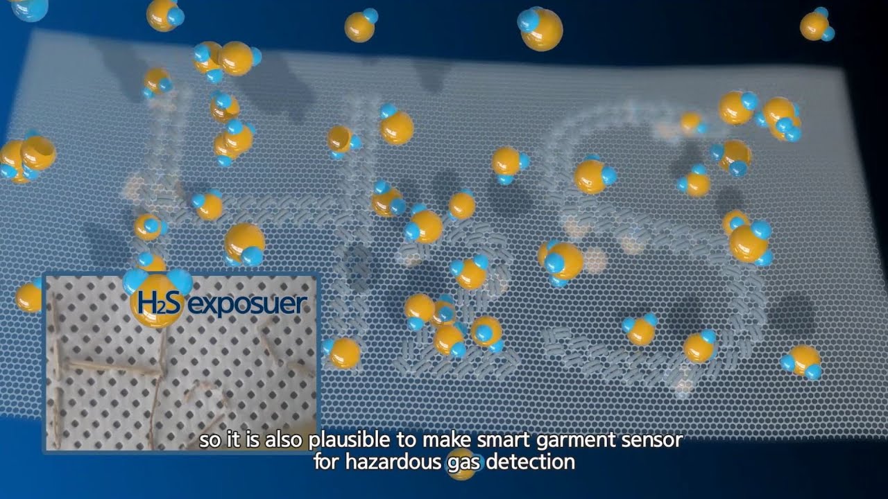 Nanofiber hazardous gas sensor & ultrasensitive colorimetric sensor ...
