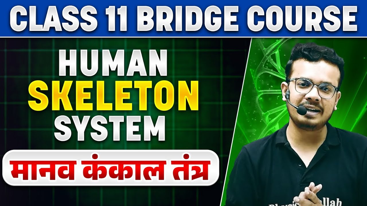 मानव कंकाल तंत्र | Human Skeleton System Class 11th Biology BRIDGE ...